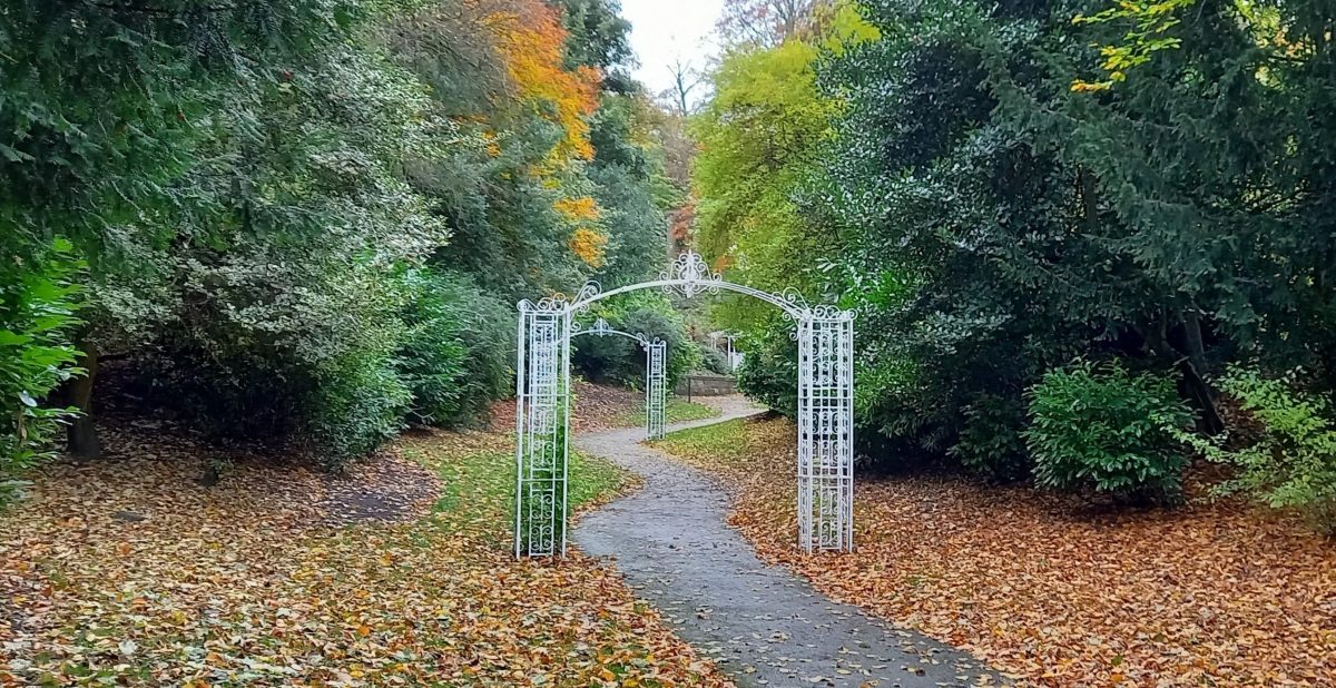 History – Friends of Locke Park