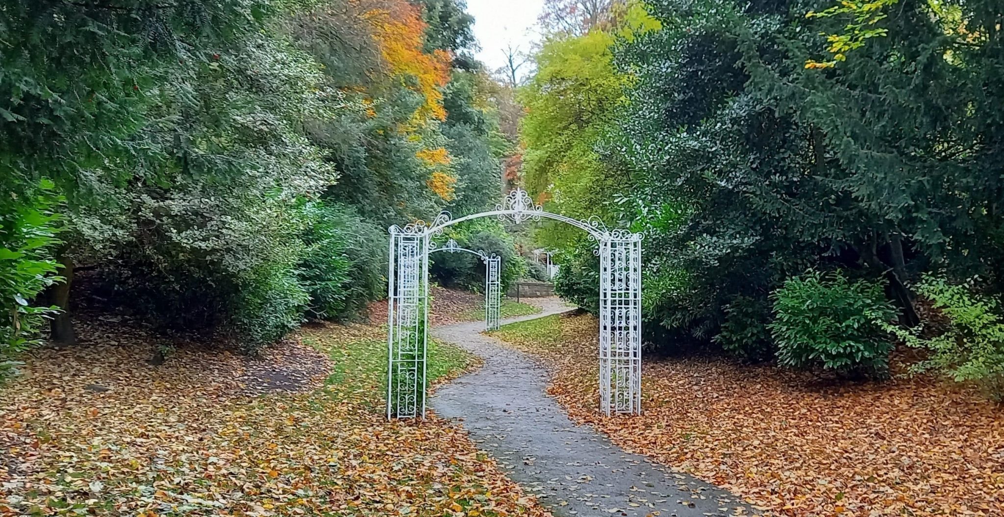 History – Friends of Locke Park