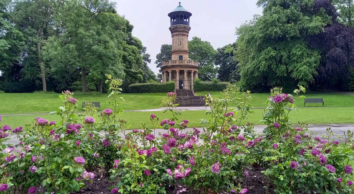 Friends of Locke Park – Information on events and activities in Locke Park